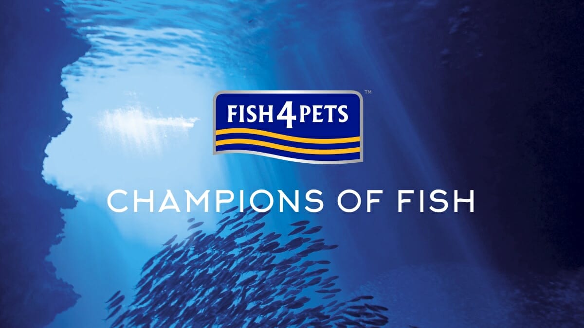 Fish4Dogs® - Fish4Pets®
